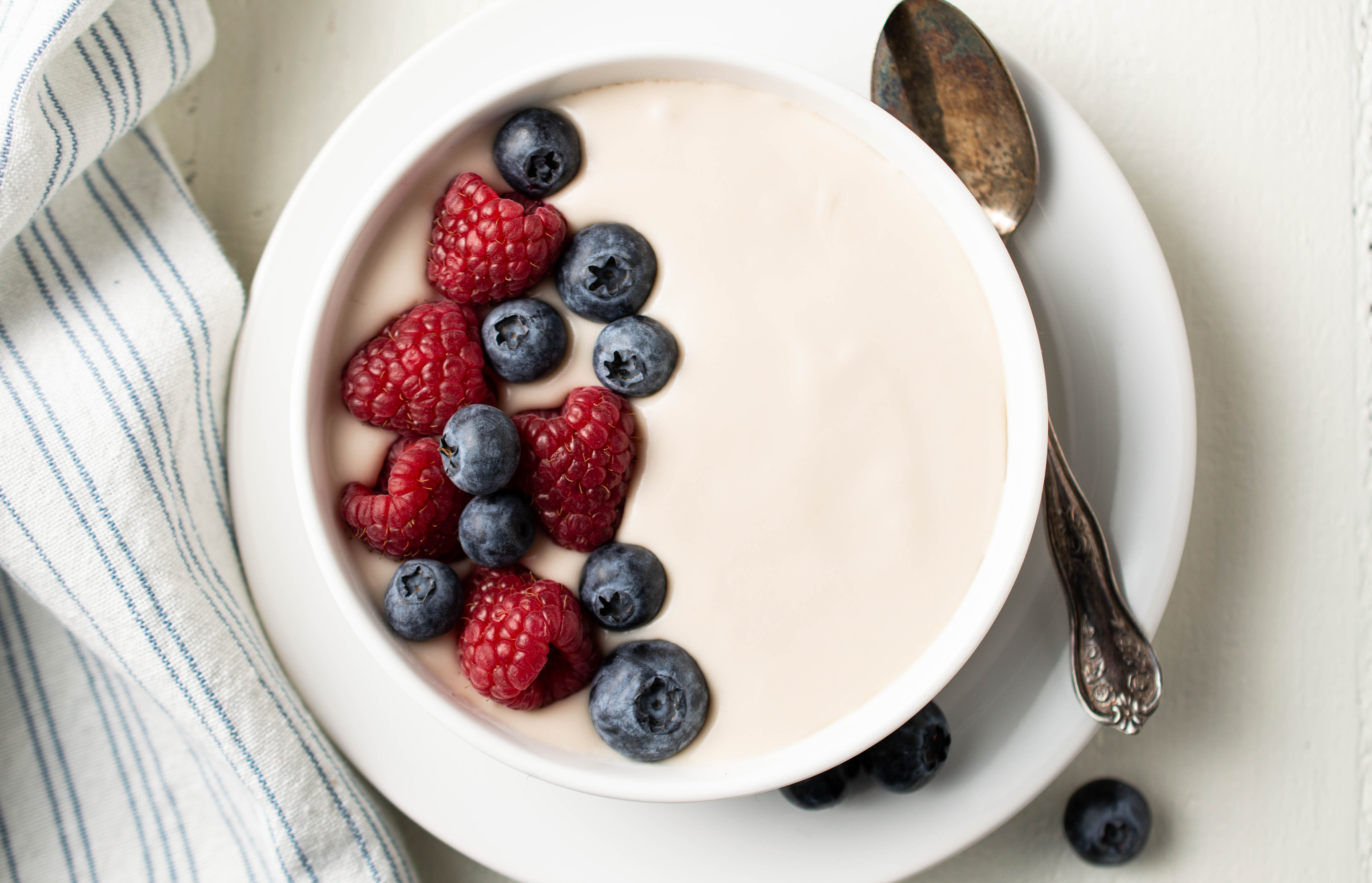 Vanilla Faux-gurt (AIP/Paleo) - Wendi's AIP Kitchen